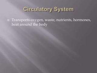 Human body system | PPT