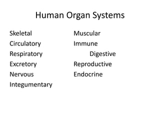 human body system.pptx