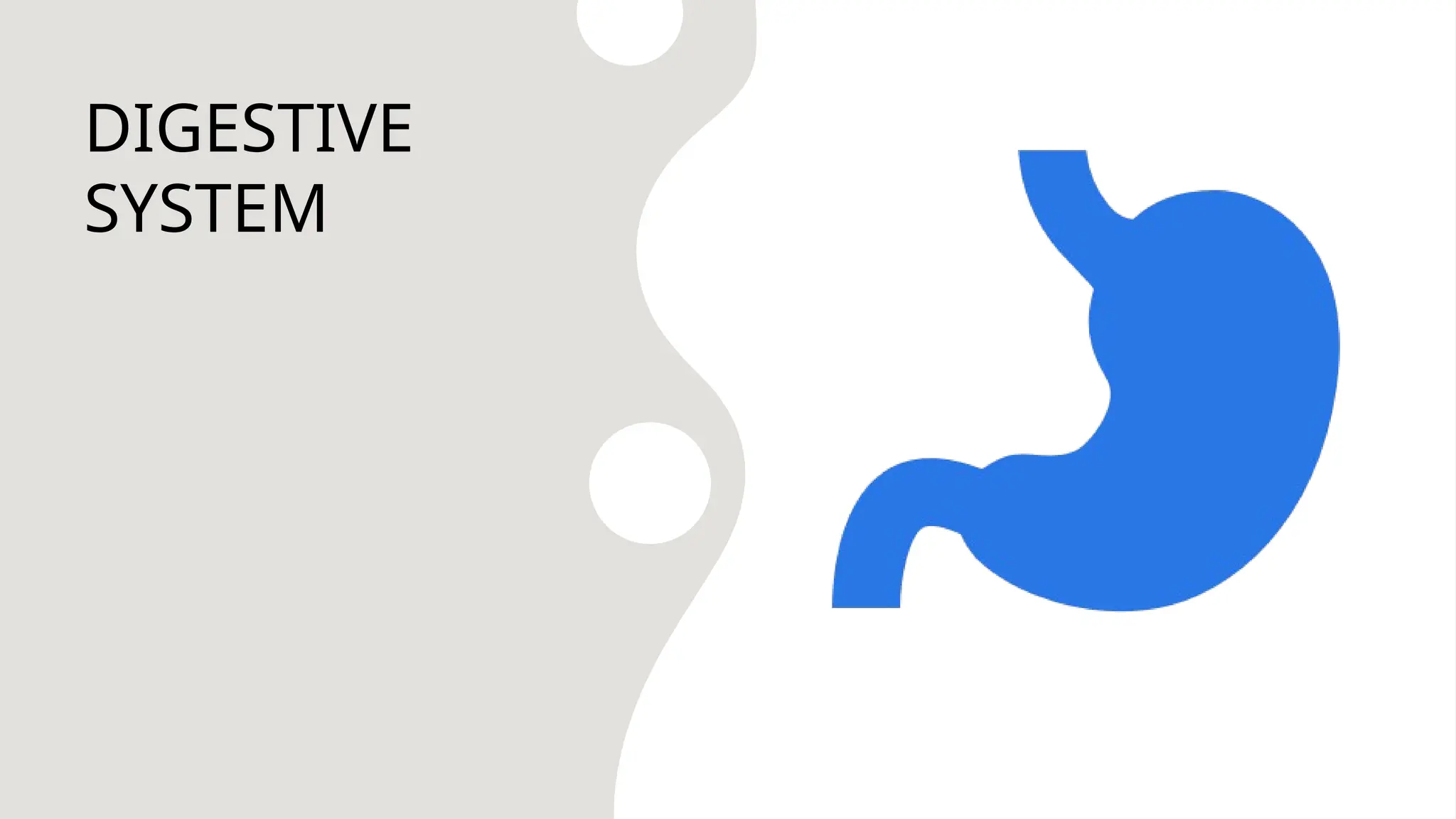 HUMAN BODY SYSTEM - online class grade 4.pptx