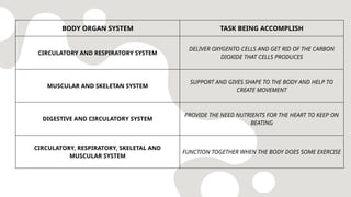 HUMAN BODY SYSTEM - online class grade 4.pptx