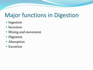 Human body system shuja abbasy | PPT