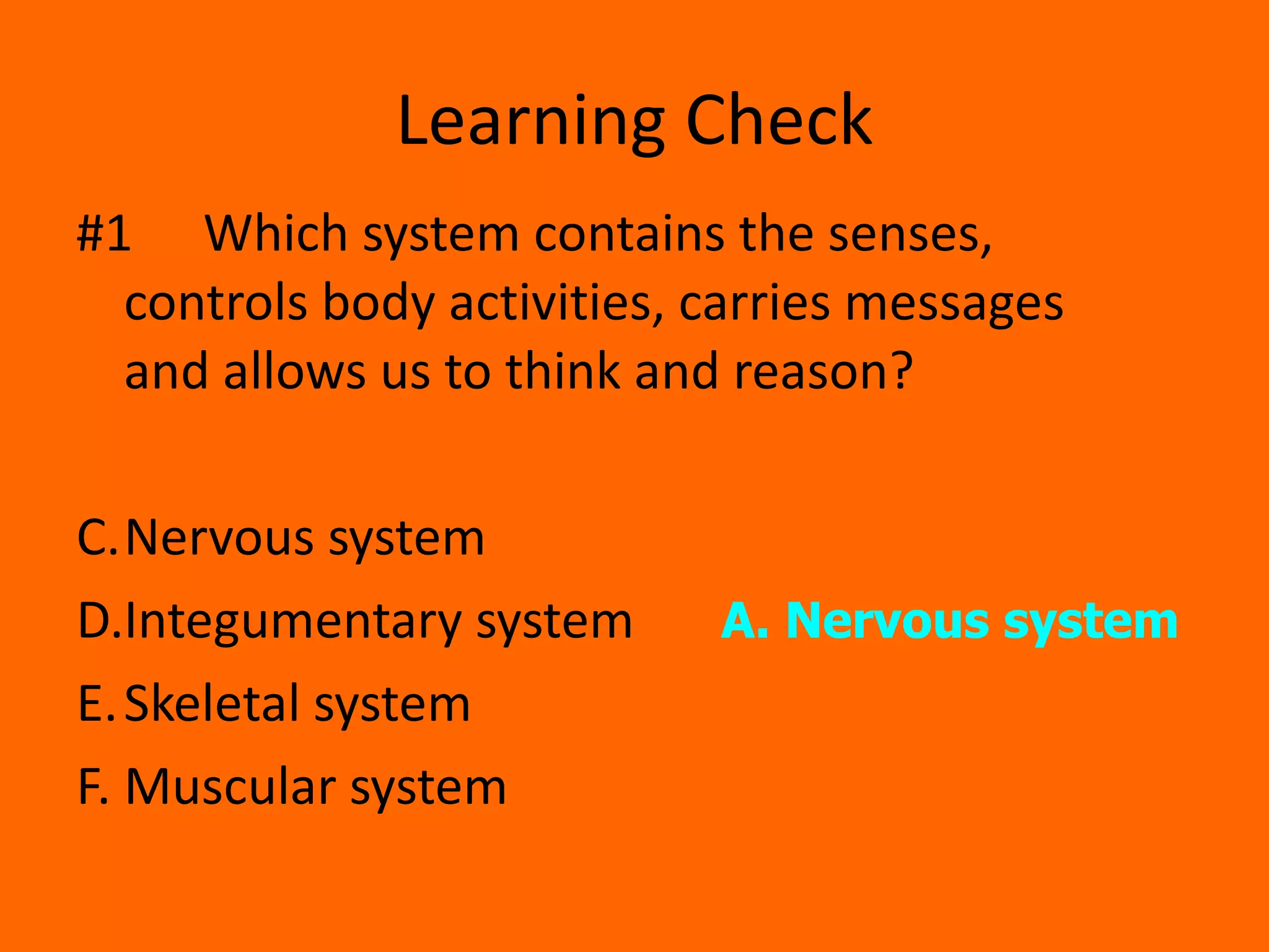Human body systems | PPT