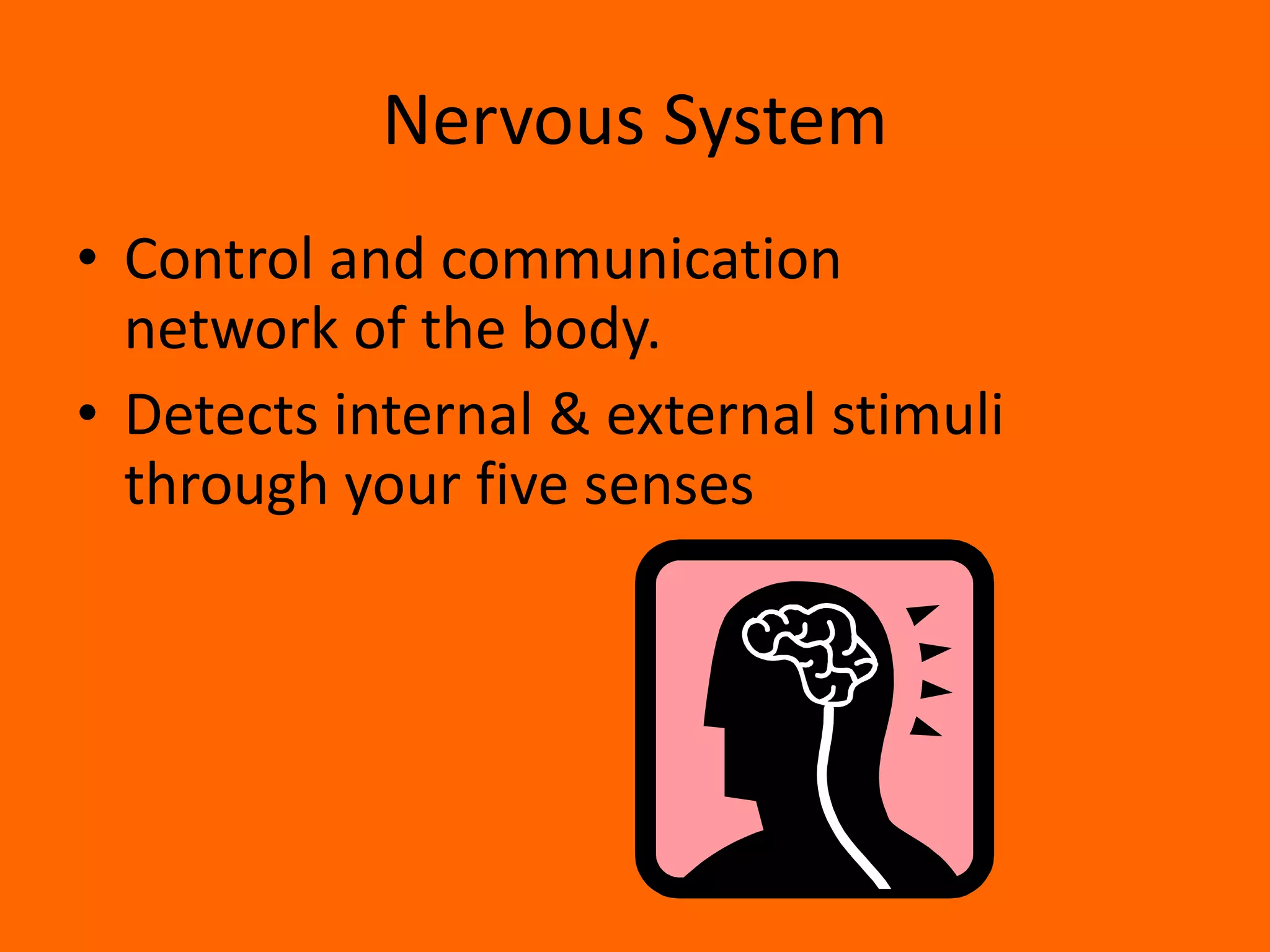 Human body systems | PPT