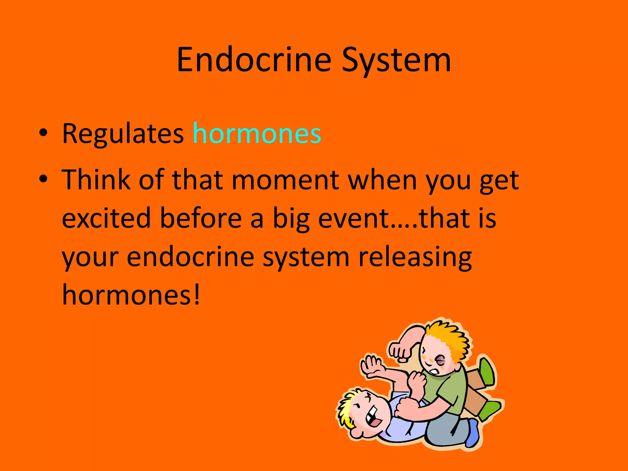 Human body systems | PPT