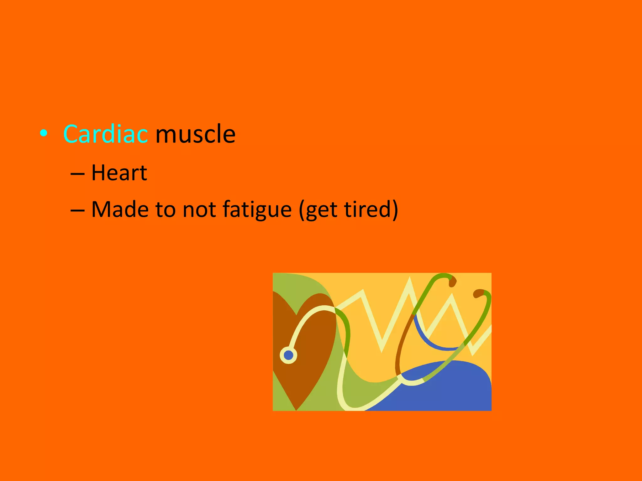 Human body systems | PPT