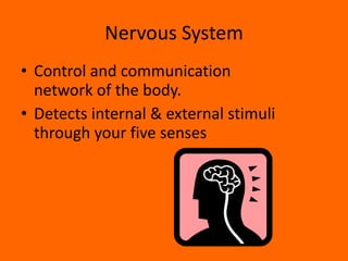 Human body systems | PPT