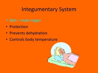 Human body systems | PPT