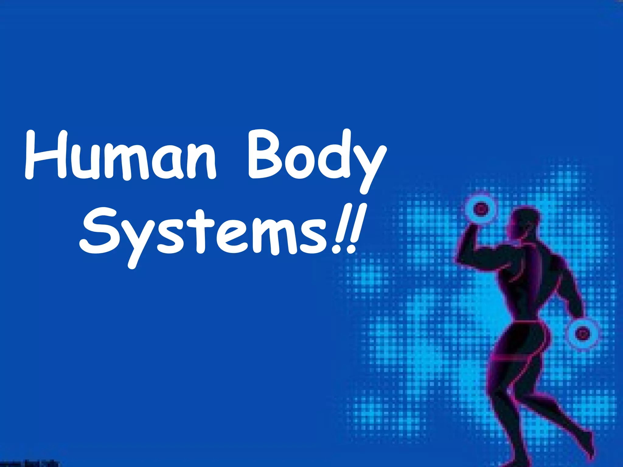 Human body systems | PPT