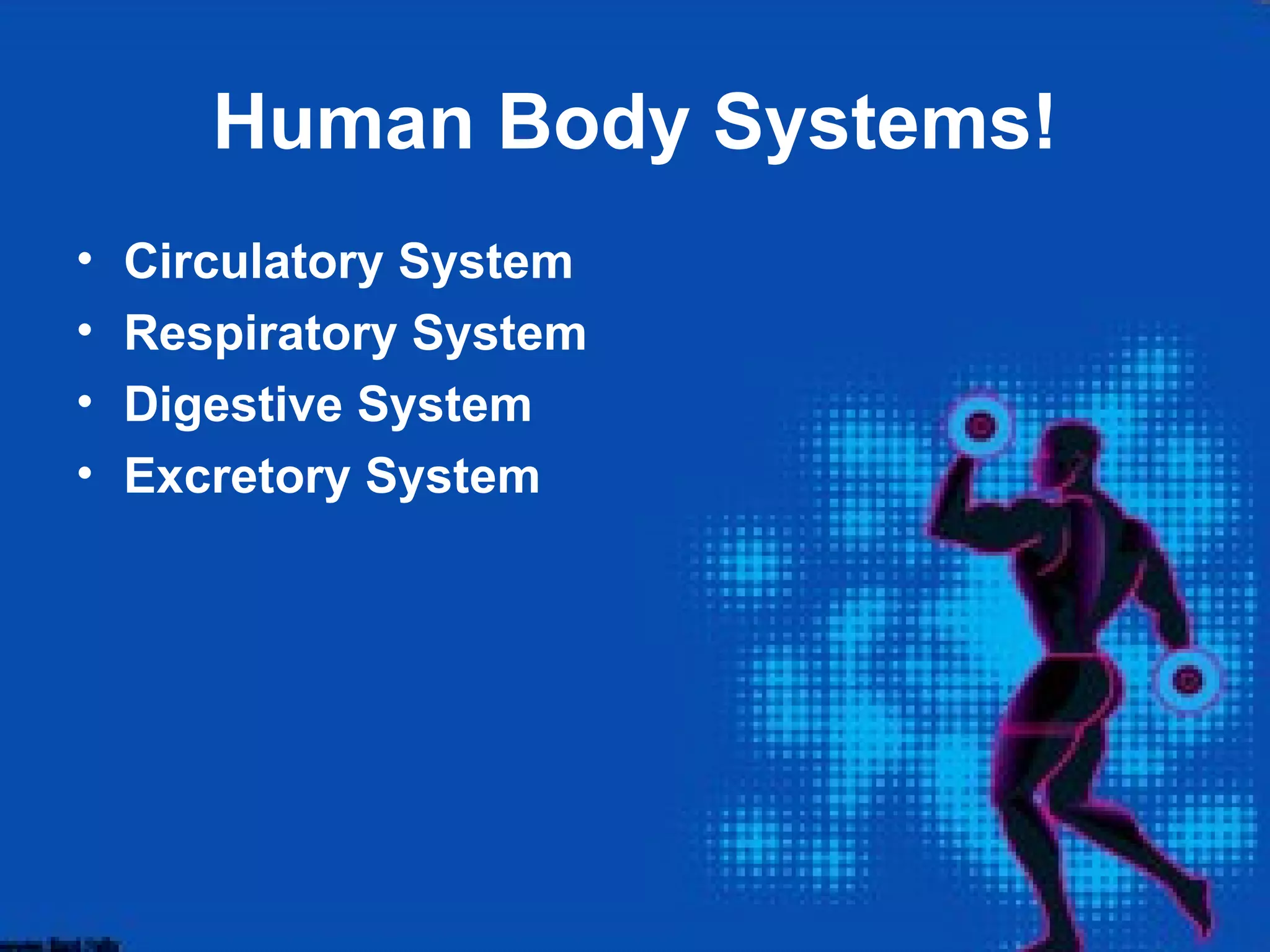 Human body systems | PPT