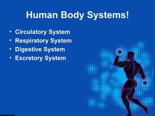 Human body systems | PPT
