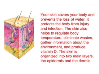 Human body systems | PPTX