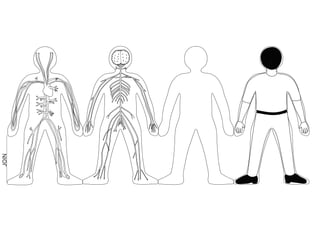 Human body systems | PDF