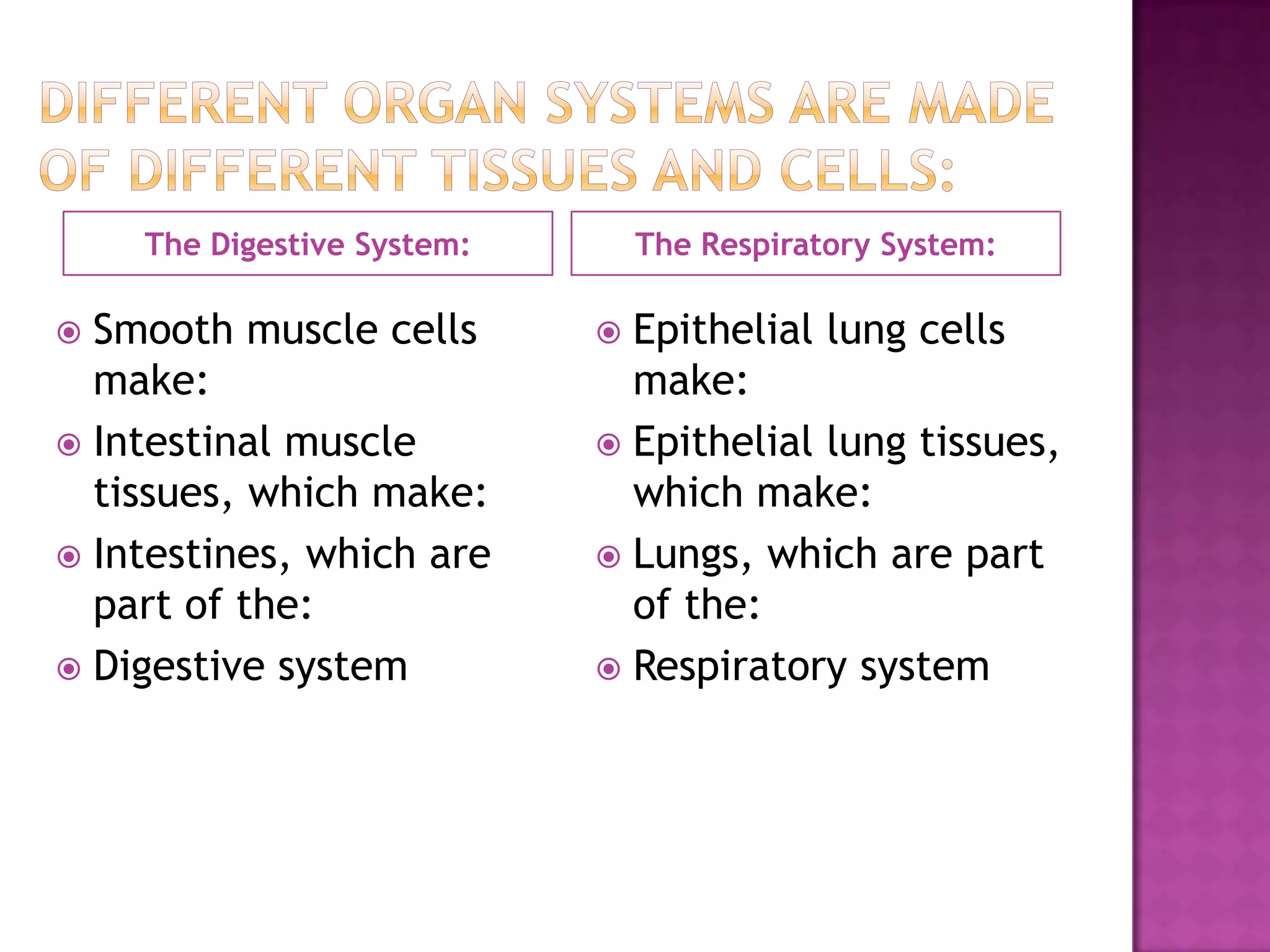 Human body systems | PPT