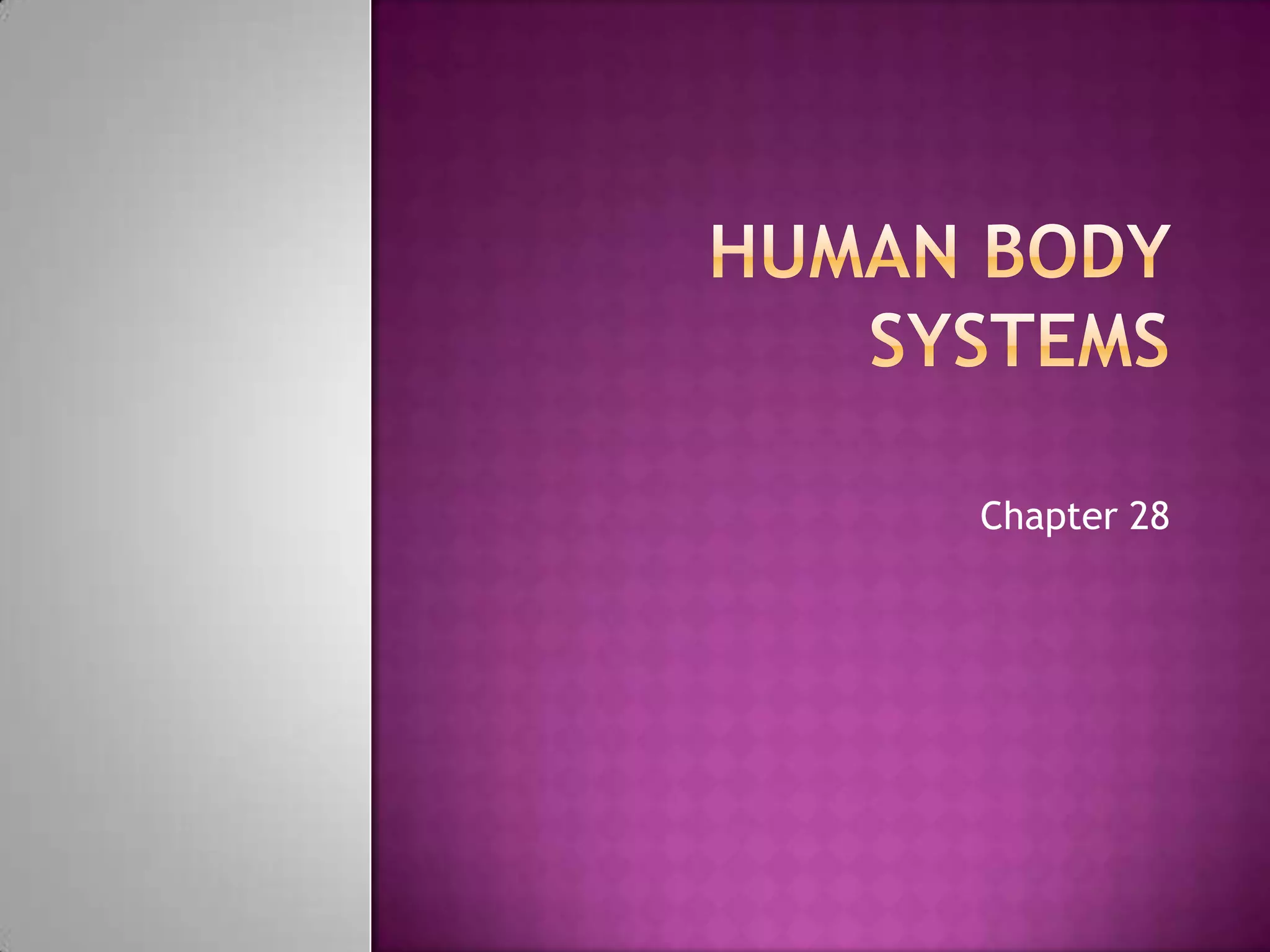 Human body systems | PPTX