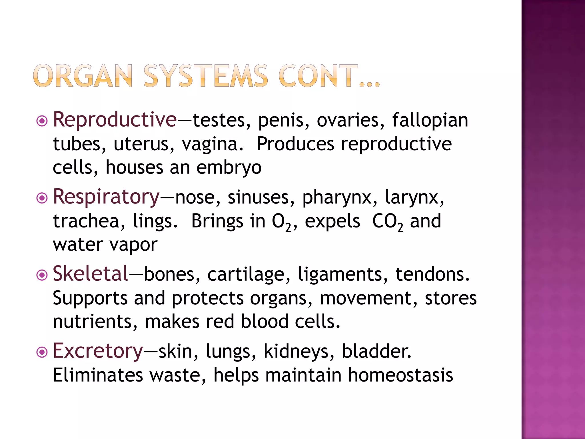 Human body systems | PPTX