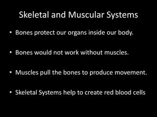 Human body systems | PPT