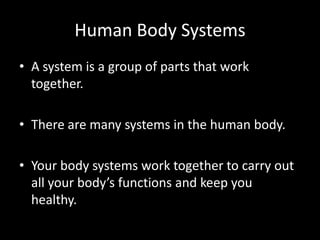 Human body systems | PPTX | Biological Sciences | Science
