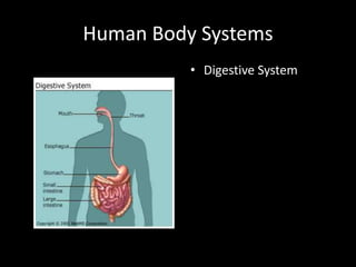 Human body systems | PPTX | Biological Sciences | Science
