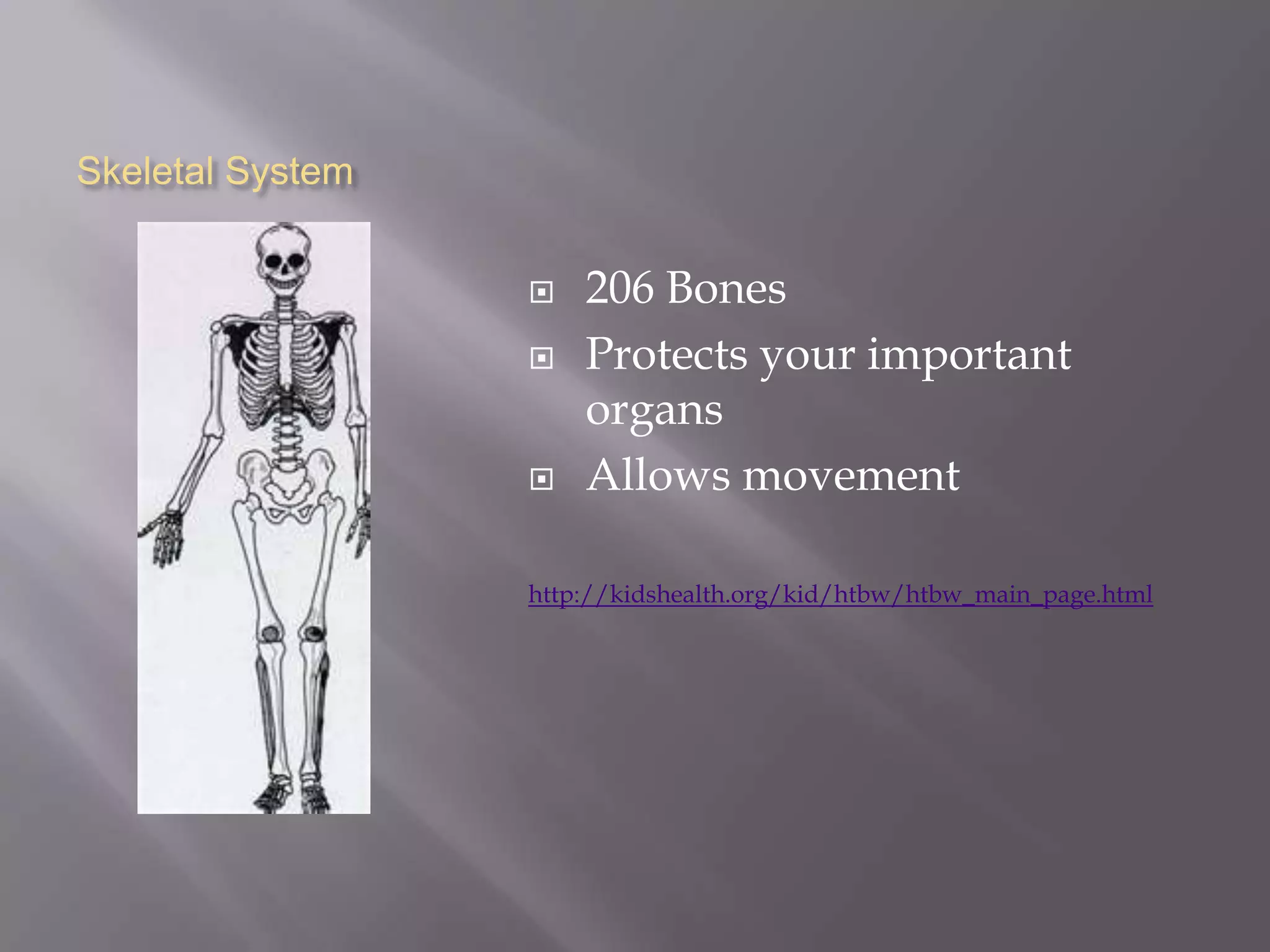 Human body systems | PPT