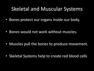 Human body systems | PPTX