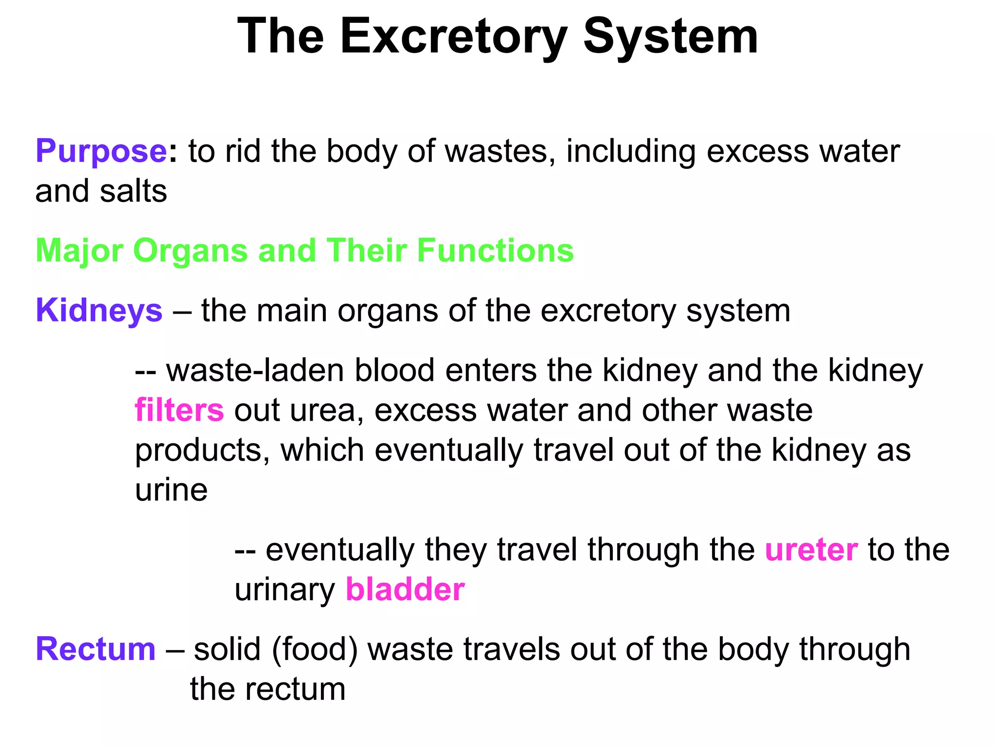 Human bodysystems | PPTX