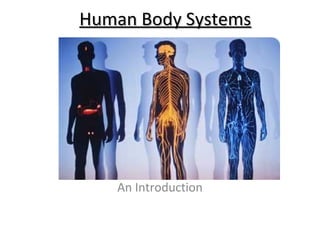 Human body systems general overview | PPT | Bone and Joint Conditions ...