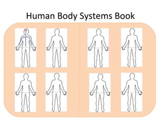 Human body systems general overview | PPT