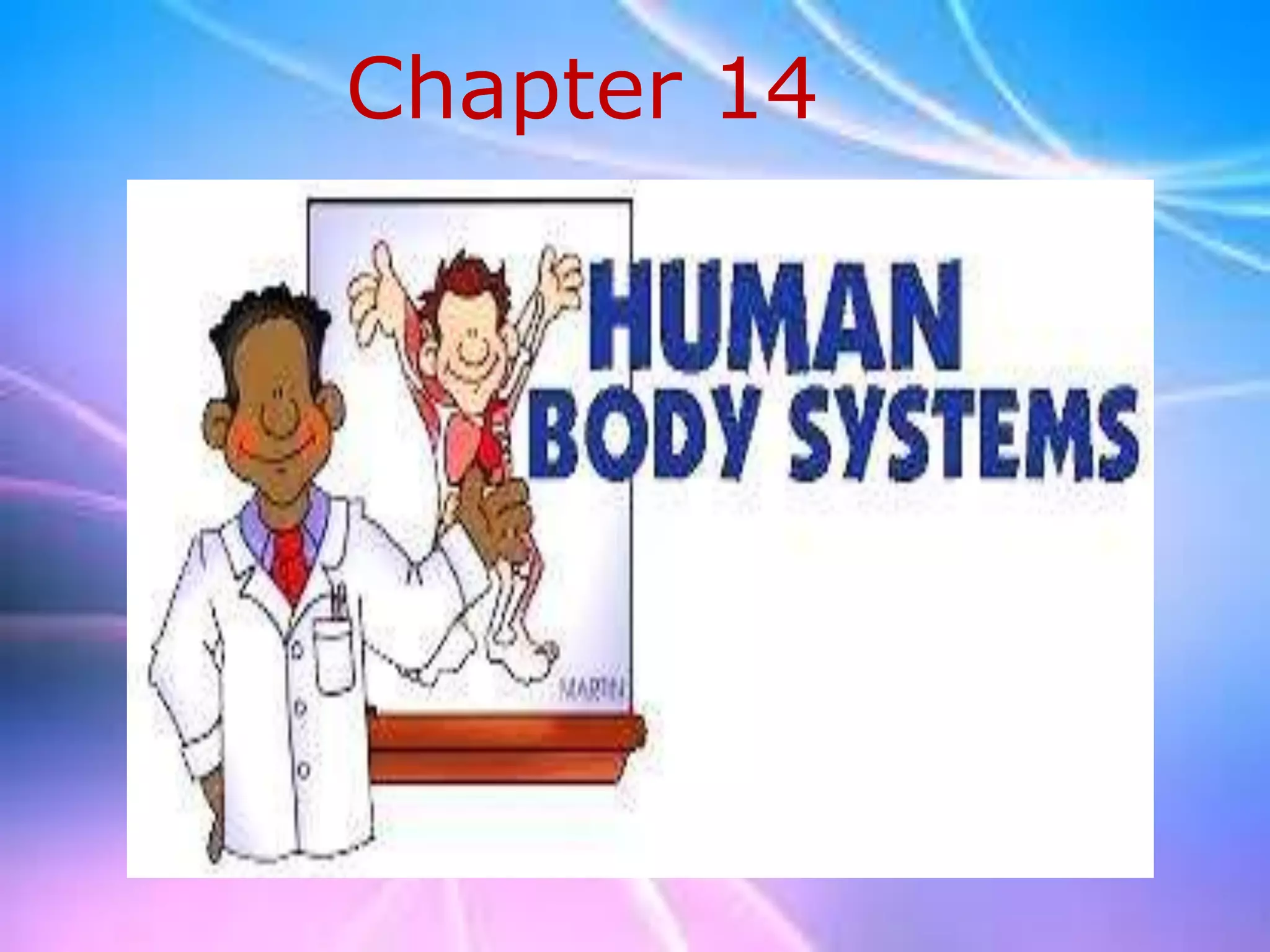 Chapter 4 : Human Body Systems | PPTX