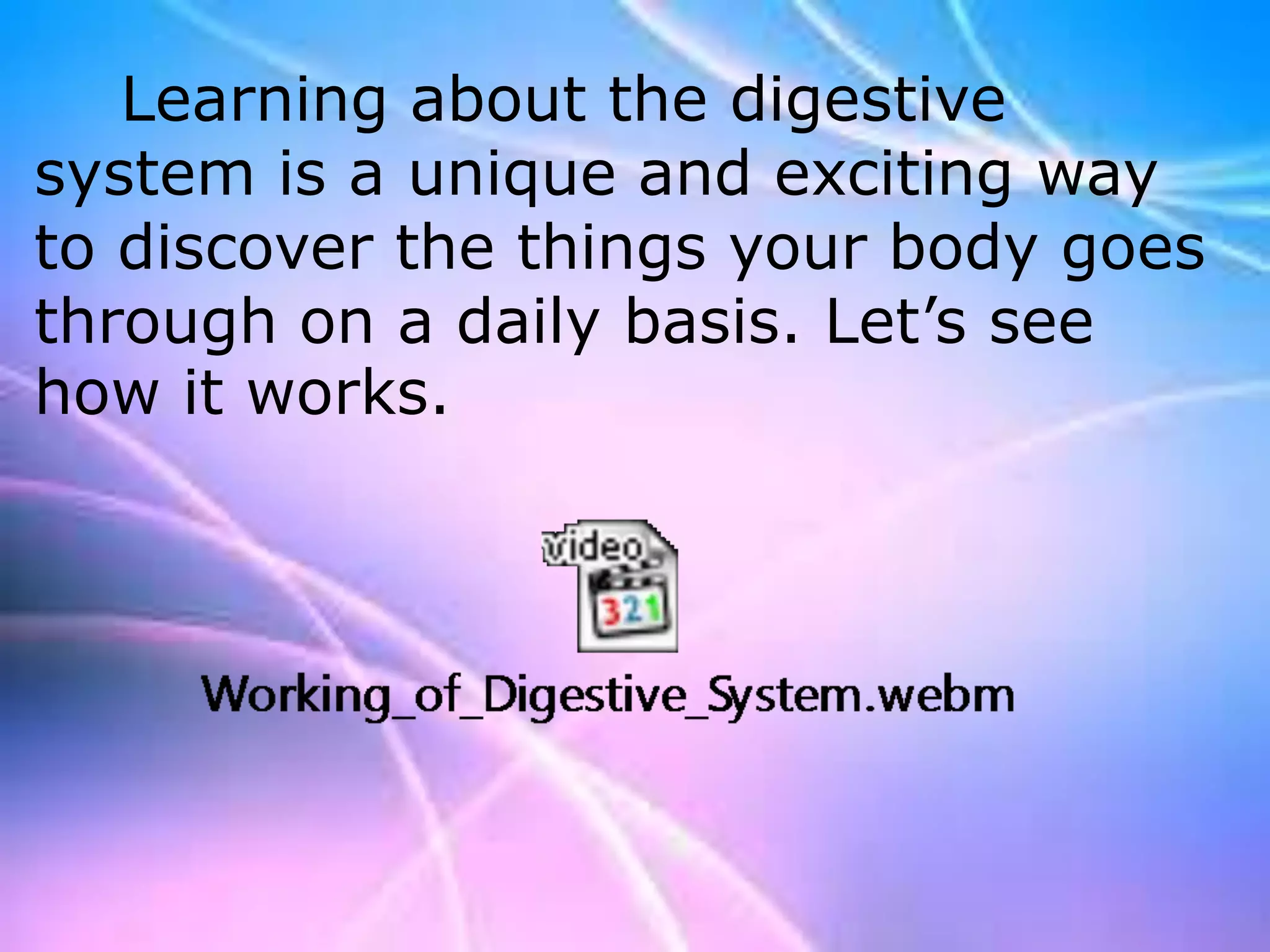 Chapter 4 : Human Body Systems | PPTX