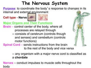 HumanBodySystems.pdf