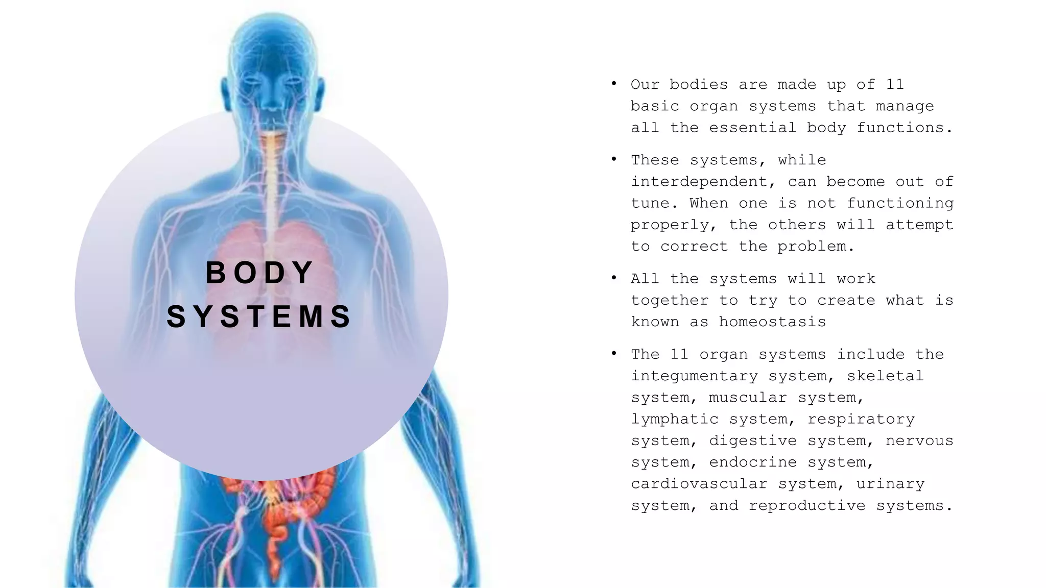 Human body systems.pptx