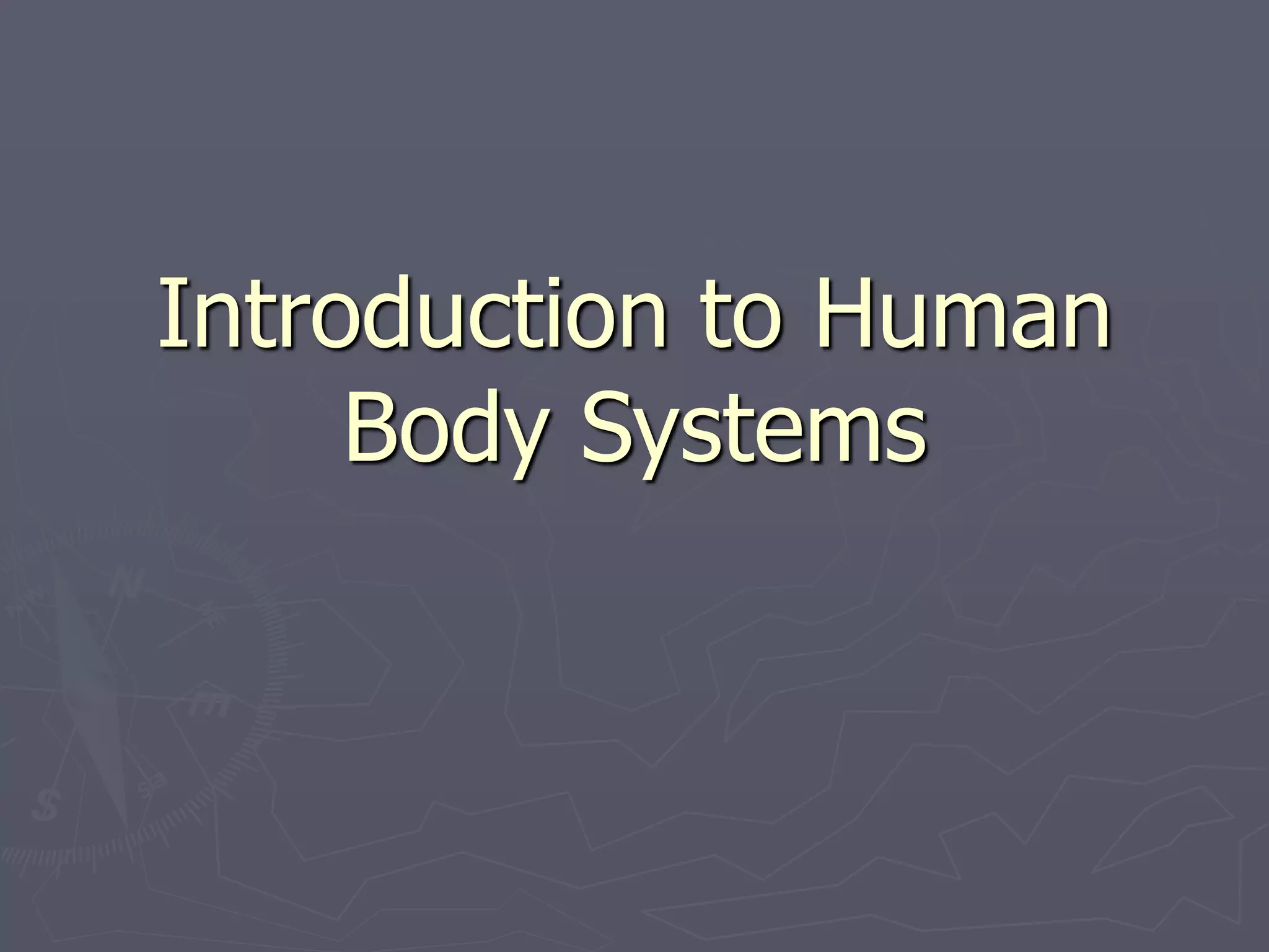 Human Body Systems.ppt