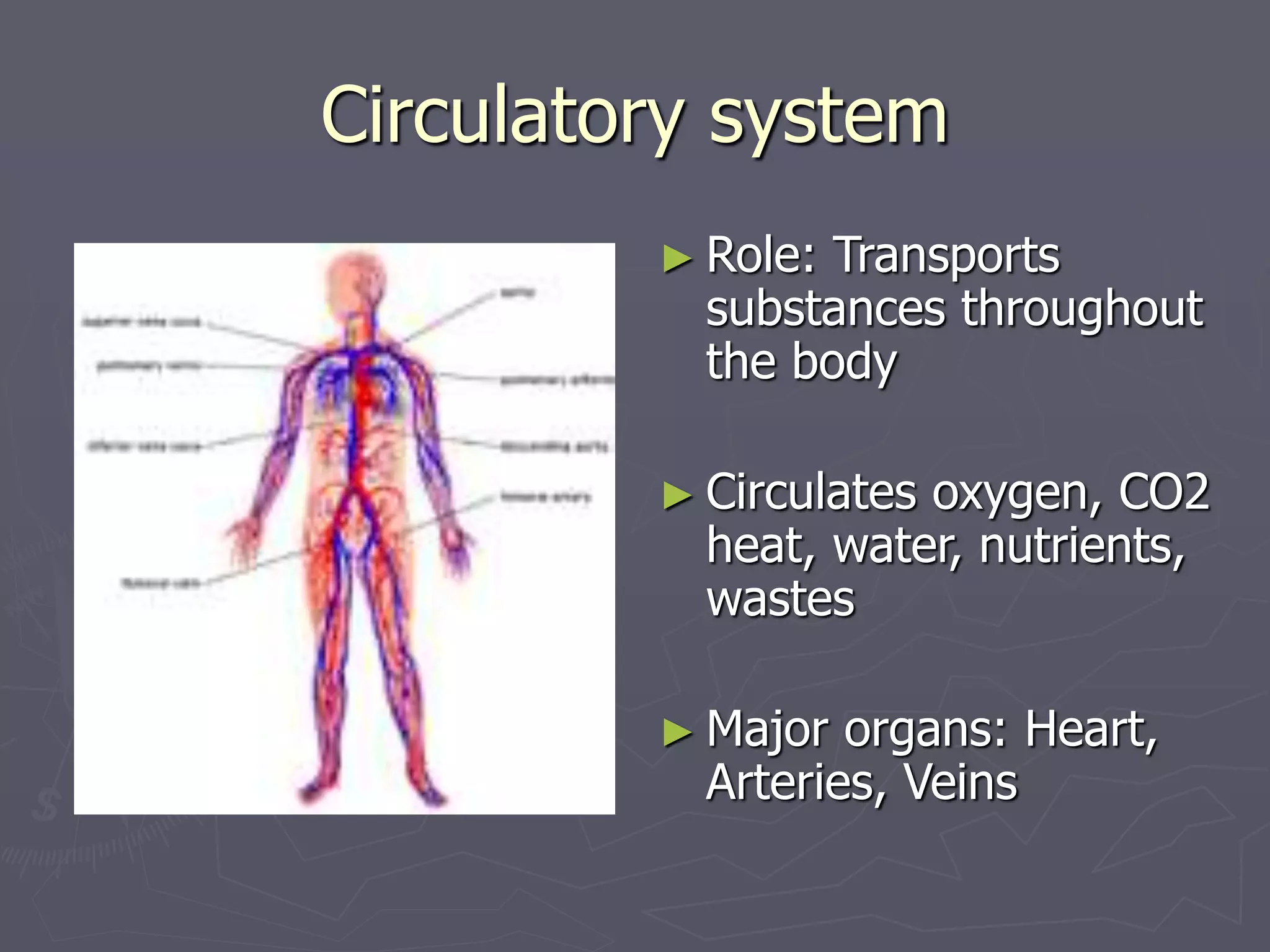 Human Body Systems.ppt