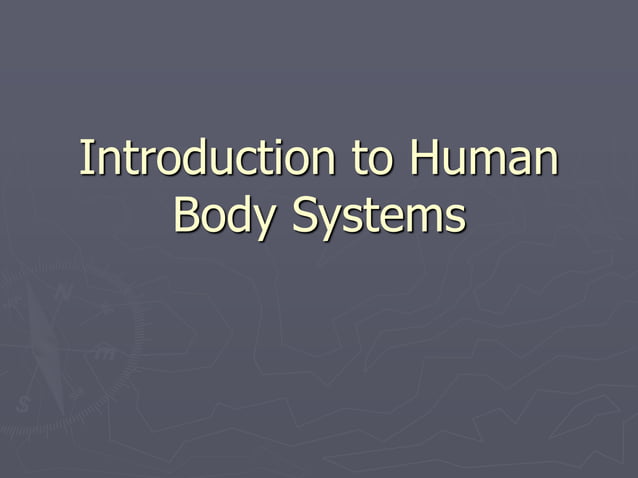 Human Body Systems.ppt
