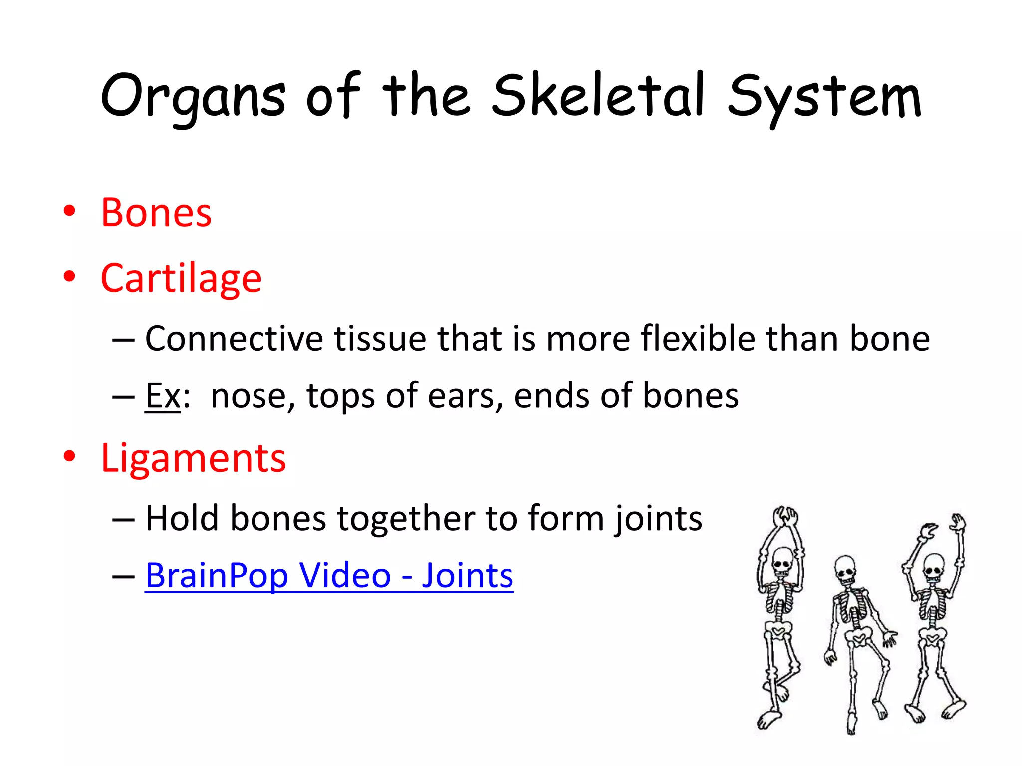 Human Body Systems.ppt
