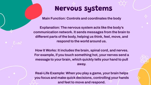 Human Body systems lessson 1 by hand made | PPT