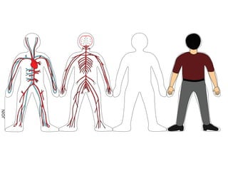 Human body systems color | PPT
