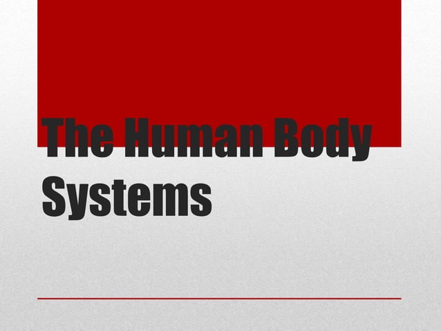 Human body systems 1 | PPT