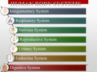 Human body systems 1 | PPT