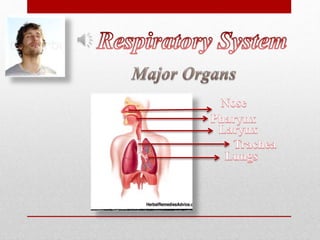 Human body systems 1 | PPT