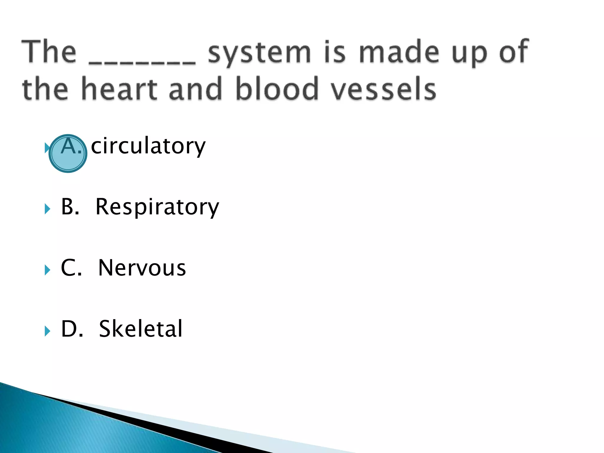 Human Body Systems Part 2 | PPTX