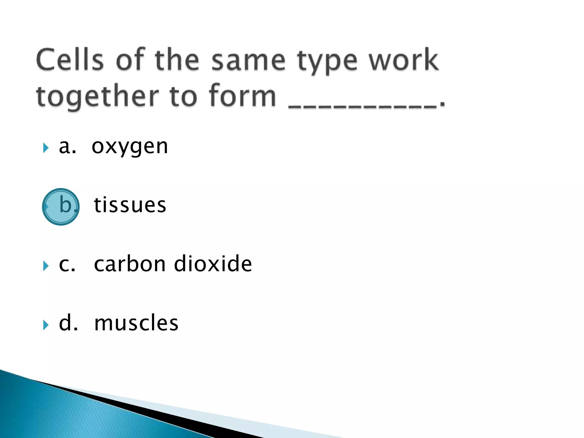 Human Body Systems Part 2 | PPTX