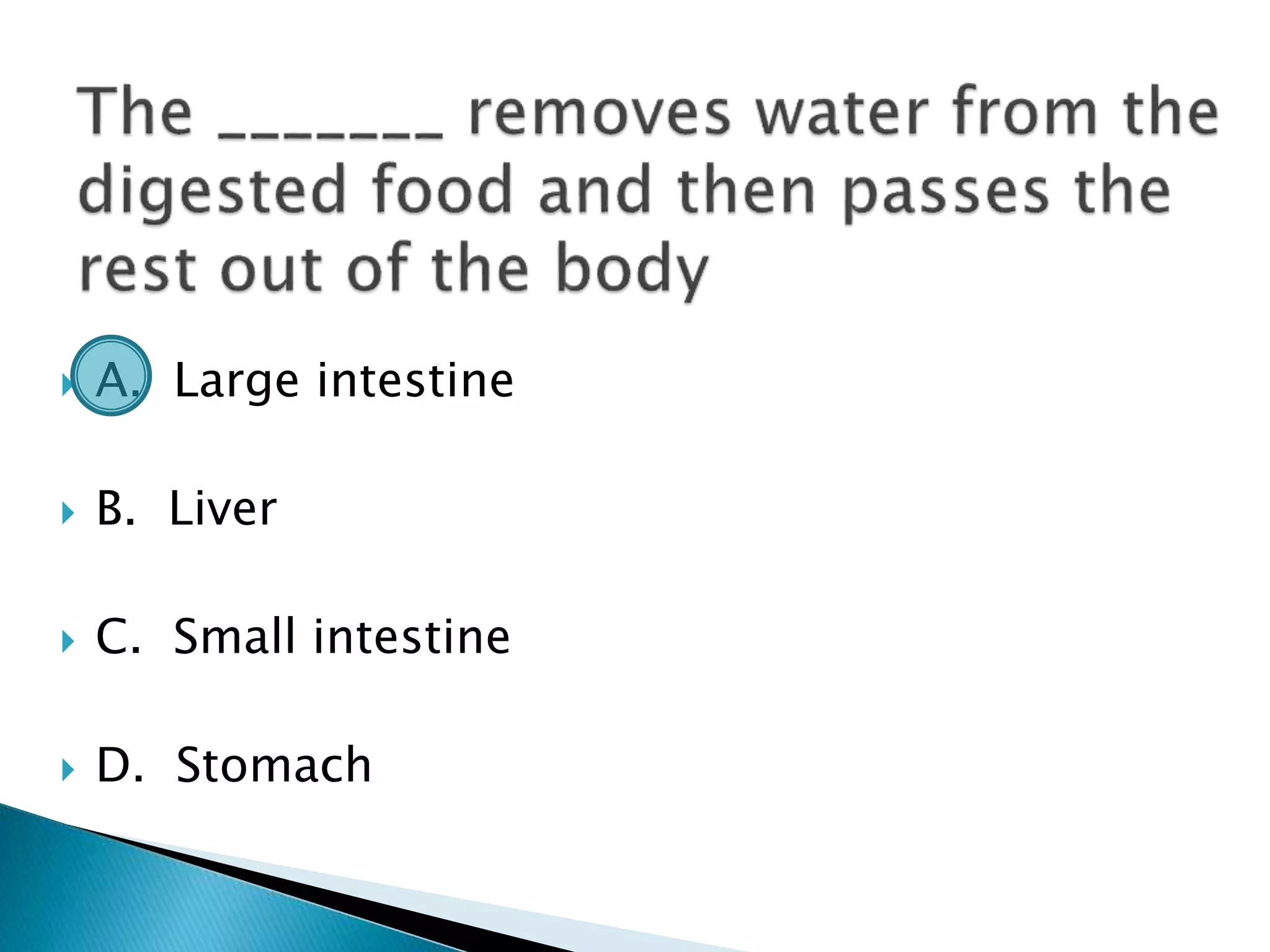 Human Body Systems Part 2 | PPTX