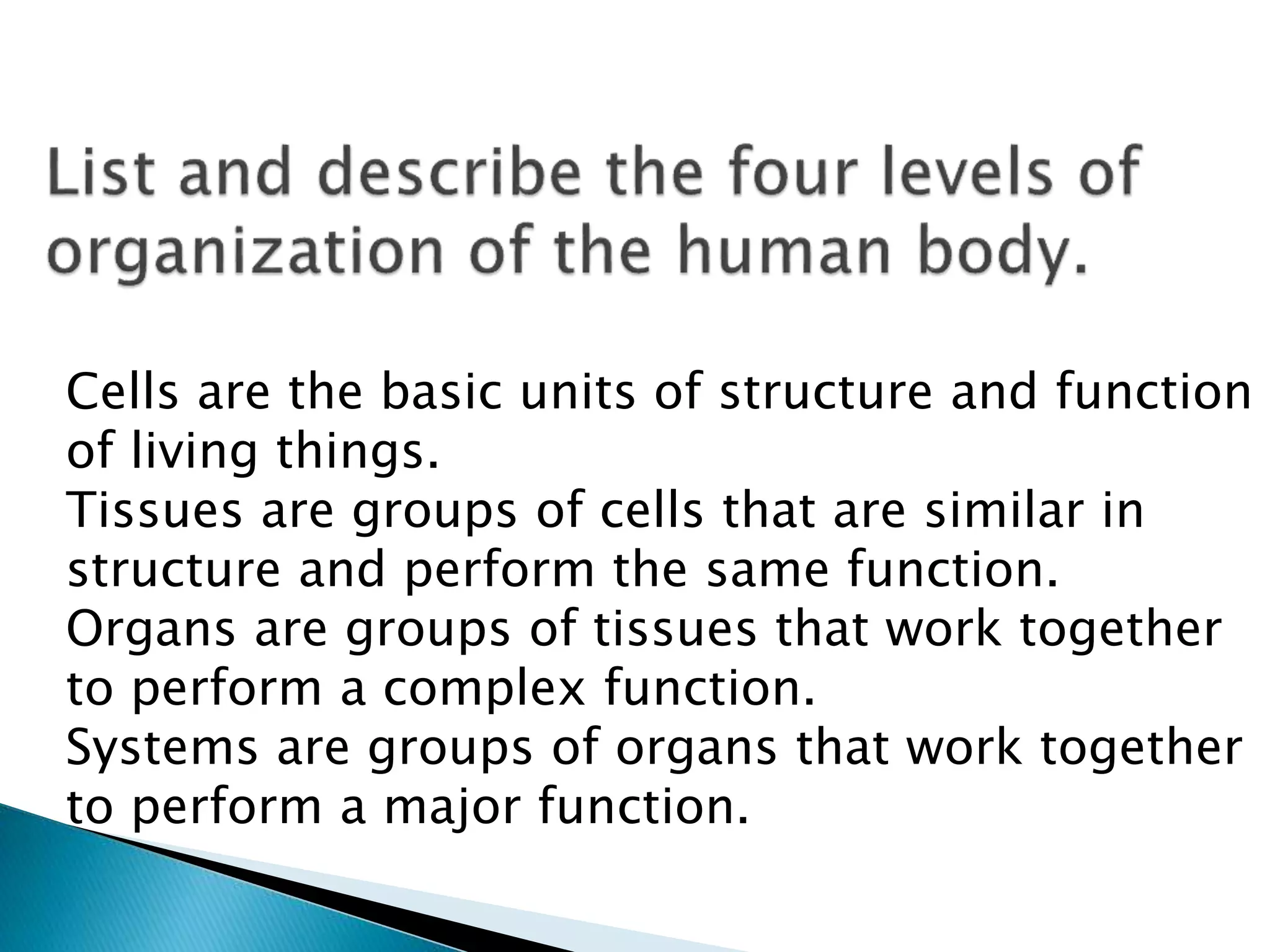 Human Body Systems Part 2 | PPTX