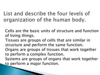 Human Body Systems Part 2 | PPTX