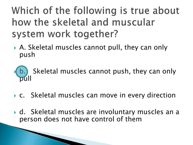 Human Body Systems Part 2 | PPT