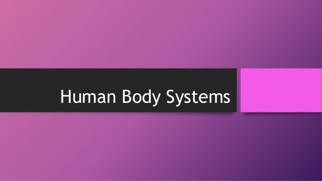 Human Body Systems booklet Review Human Body Systems booklet Review