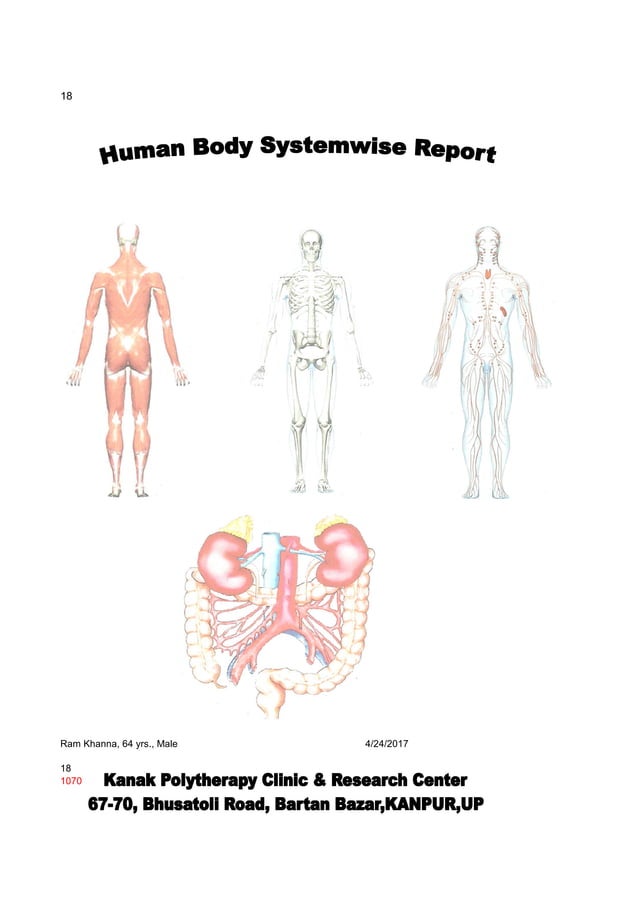 Human body system's evaluation report | PDF