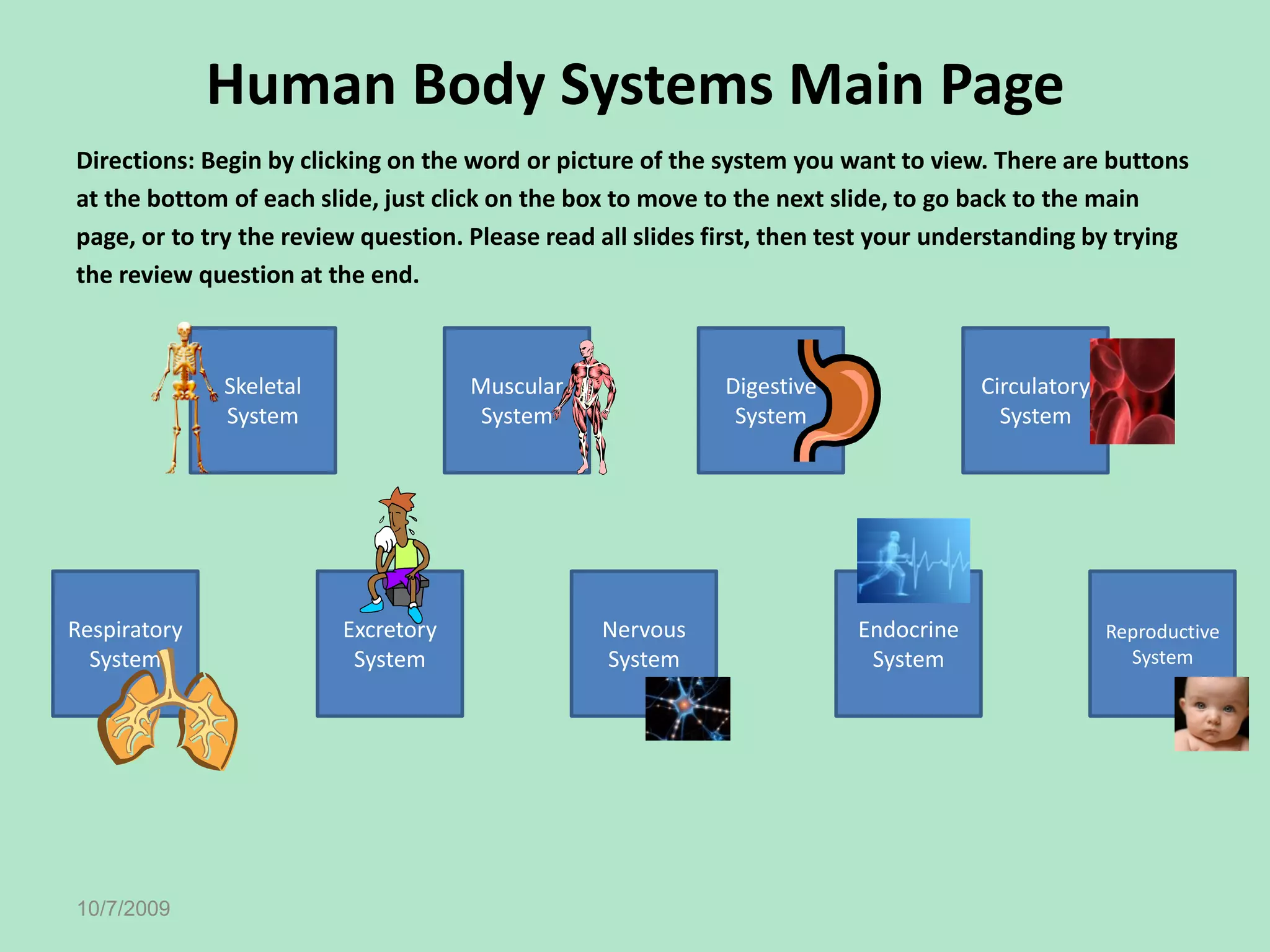 Human body systems for kids | PDF