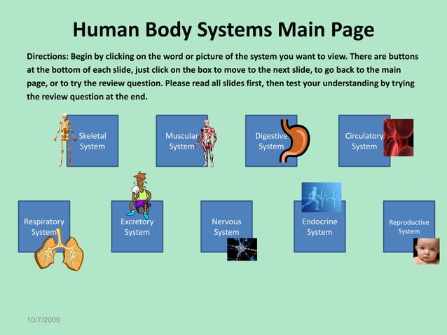 Human Body Systems For Kids Human Body Systems For Kids